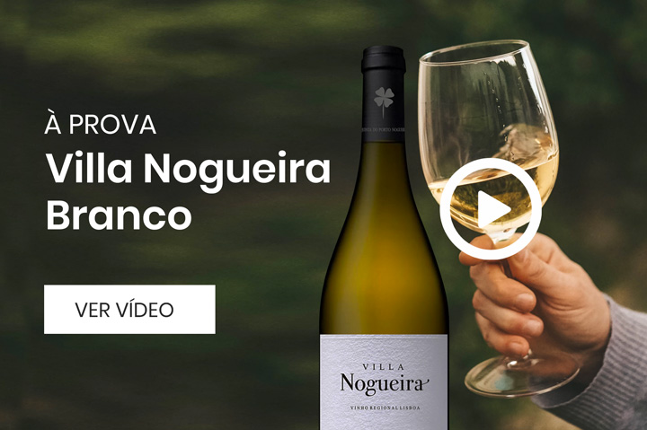 Vinho Português e Vinho do Porto - Garrafeira Online - VINHA