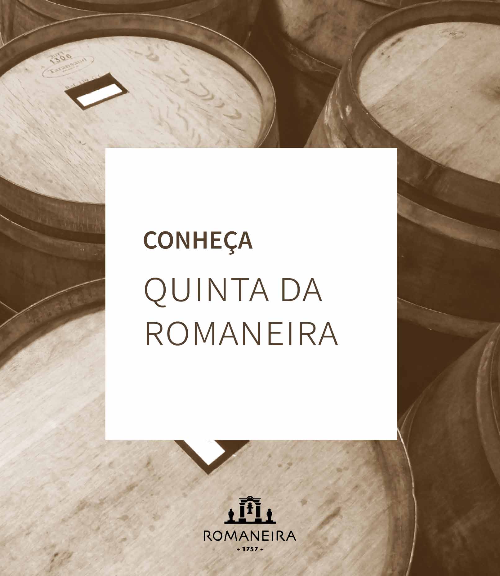 Vinho Português e Vinho do Porto - Garrafeira Online - VINHA