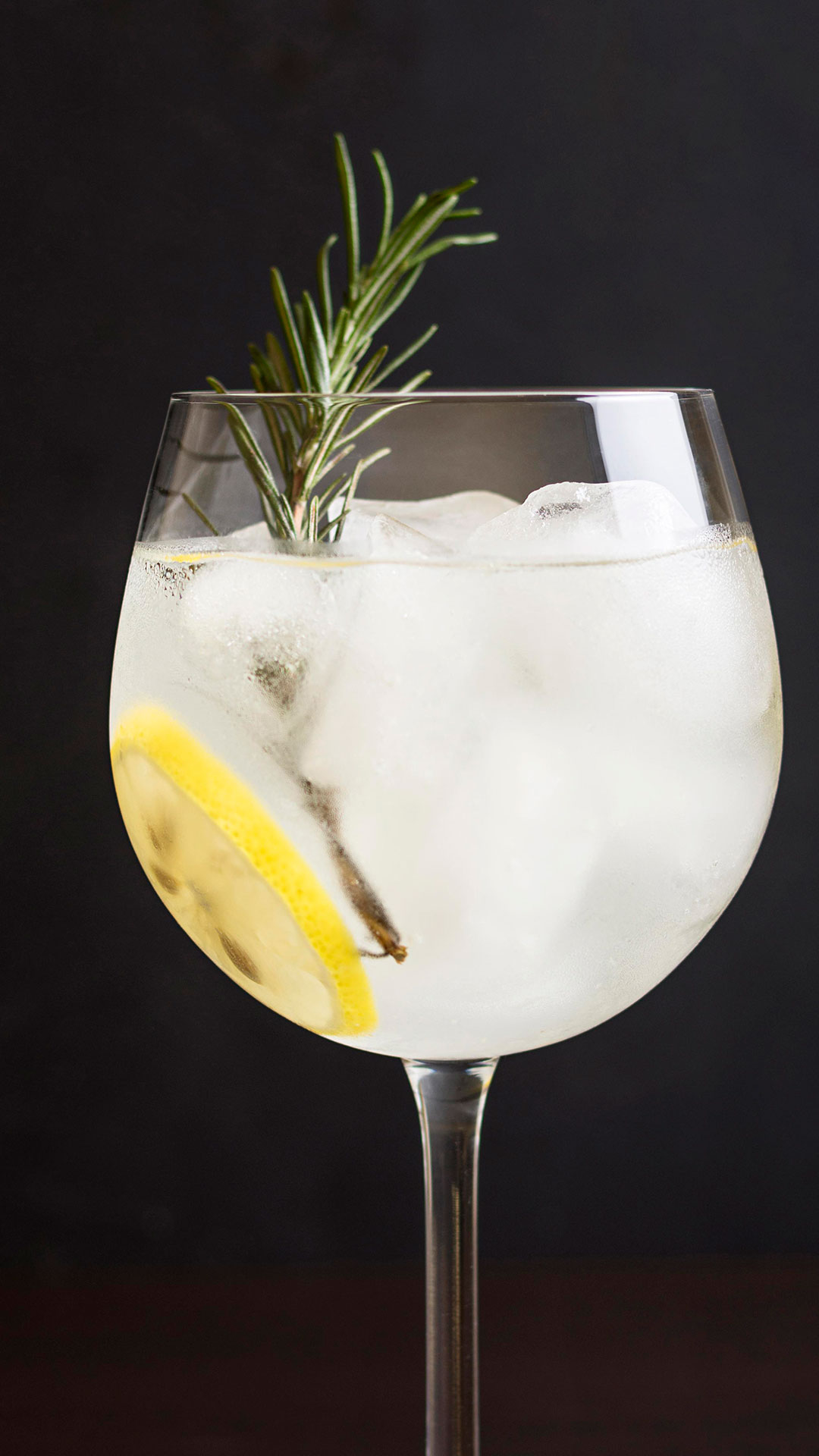 Dia Internacional do Gin & Tonic – Descubra a melhor receita de Gin ...